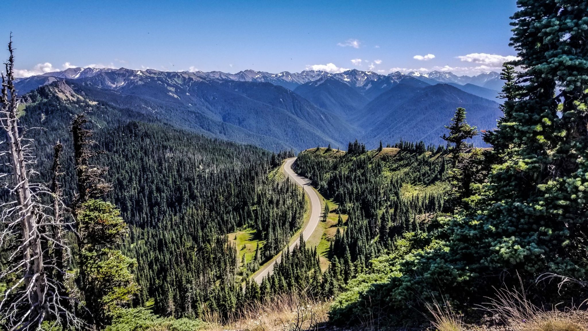 Washington – Evergreen – Endless Trail Expeditions